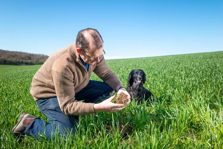 Regenerate Outcomes - Regenerative farming mentoring and training in the UK