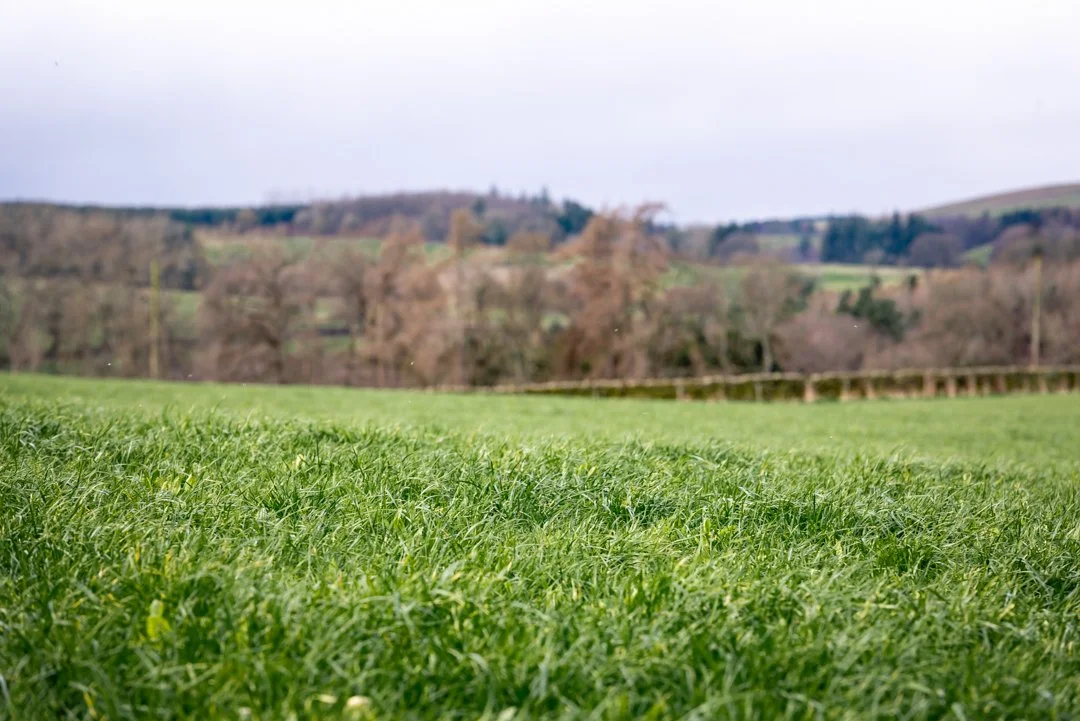 Soil Farmer of the Year 2023 Stuart Johnson from Hexham on using ...