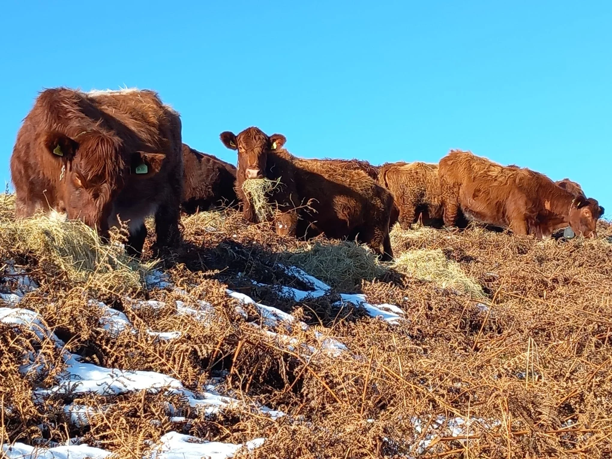 Join leading names in regenerative farming at our Soil Health Workshops ...