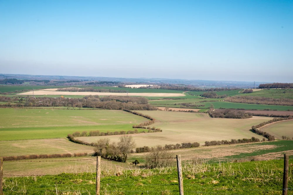 The Regenerate Outcomes training, mentoring, coaching and soil carbon ...