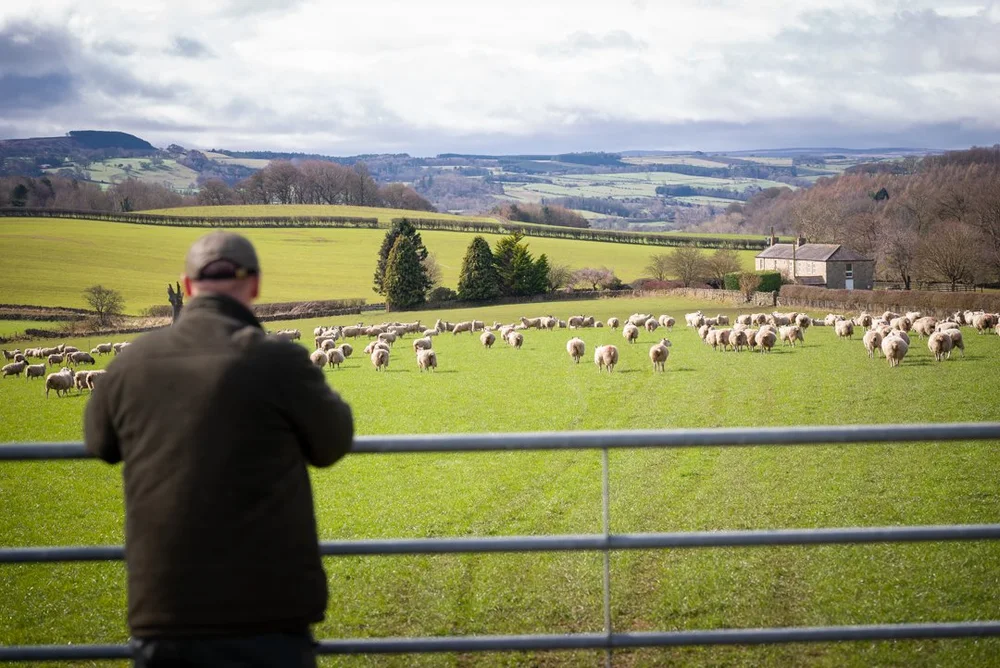 Our regenerative farming mentoring team is led by Understanding Ag ...