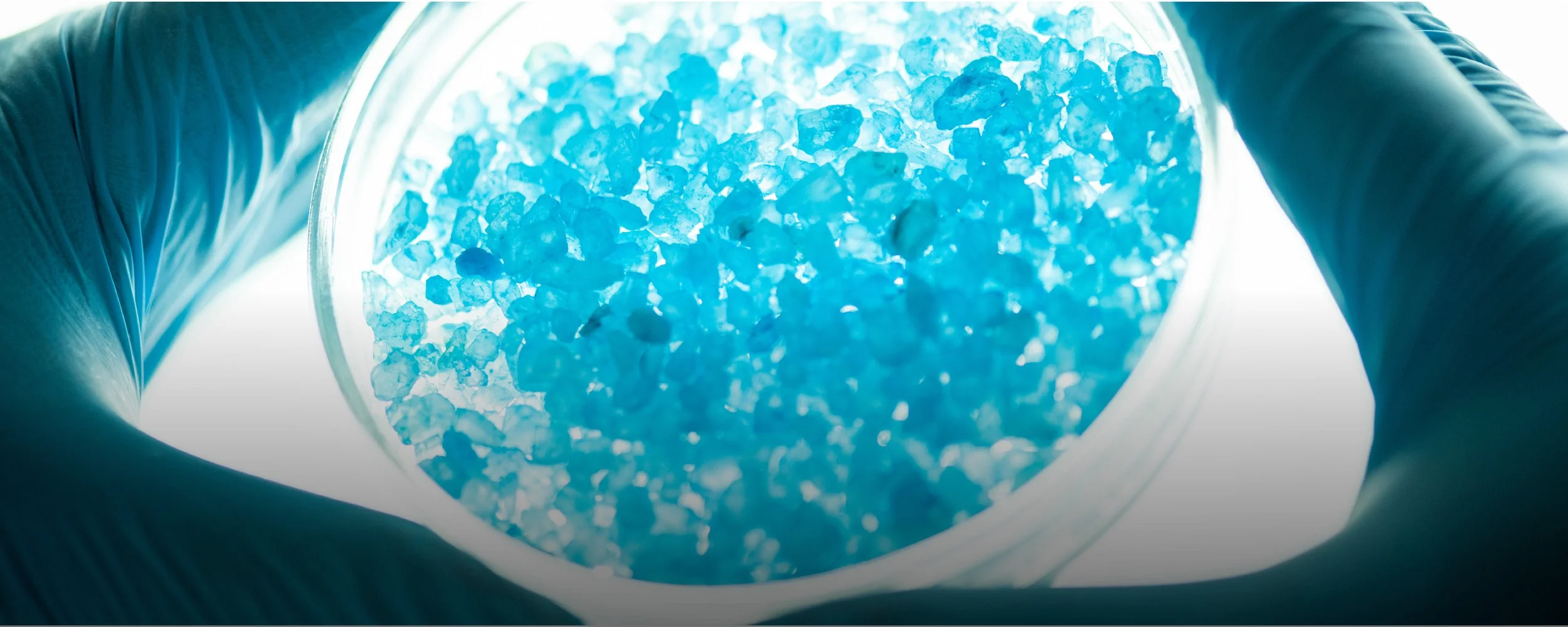 BONALIVE — Neptune Medical