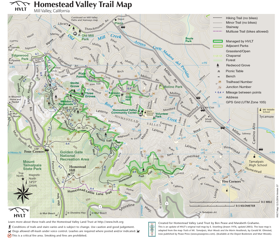 General 2 — Homestead Valley