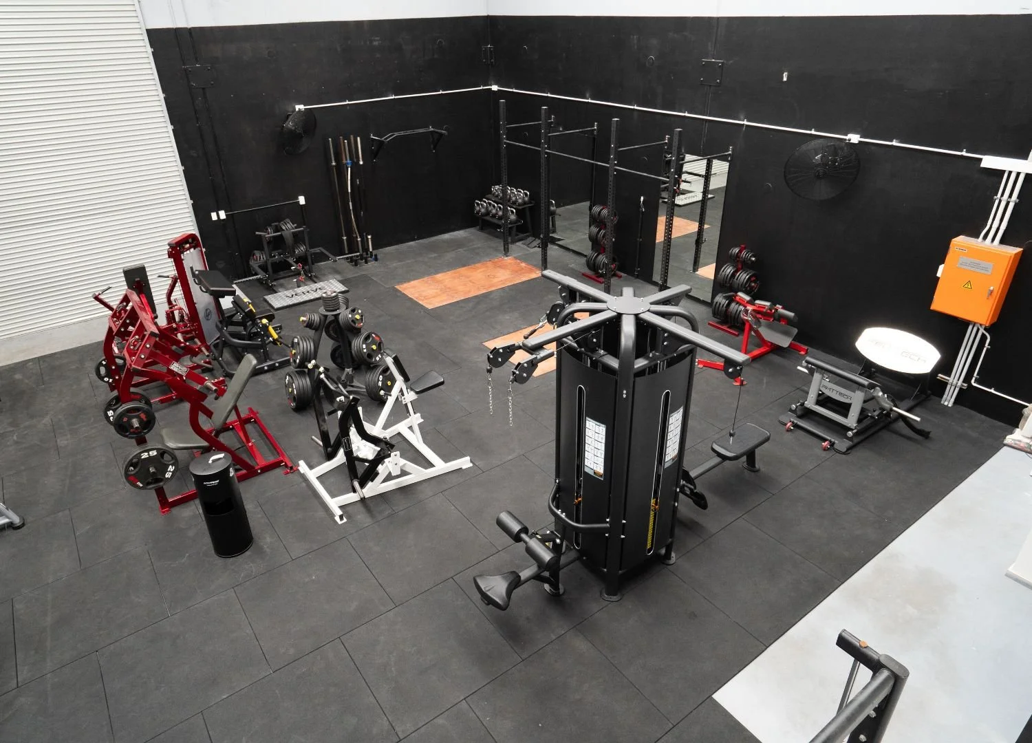 Total Physique Performance