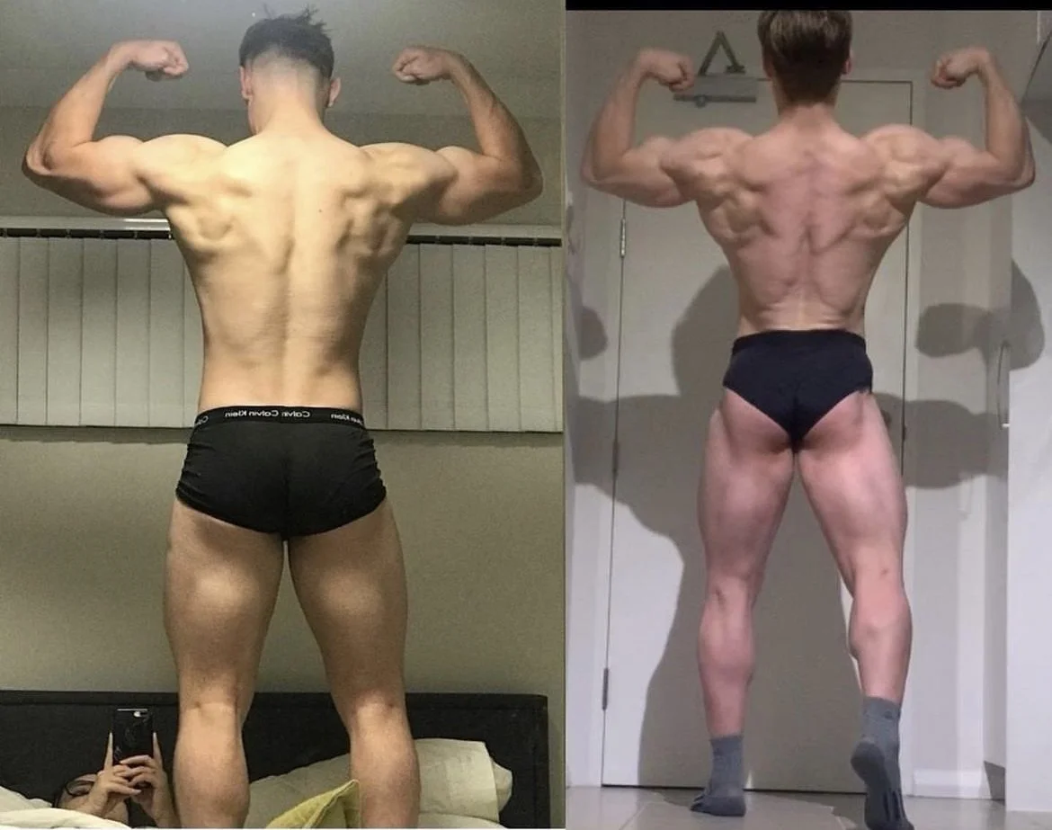 Total Physique Performance