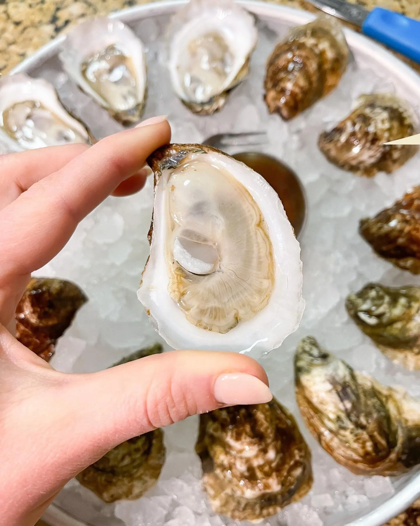 401 Oyster Company