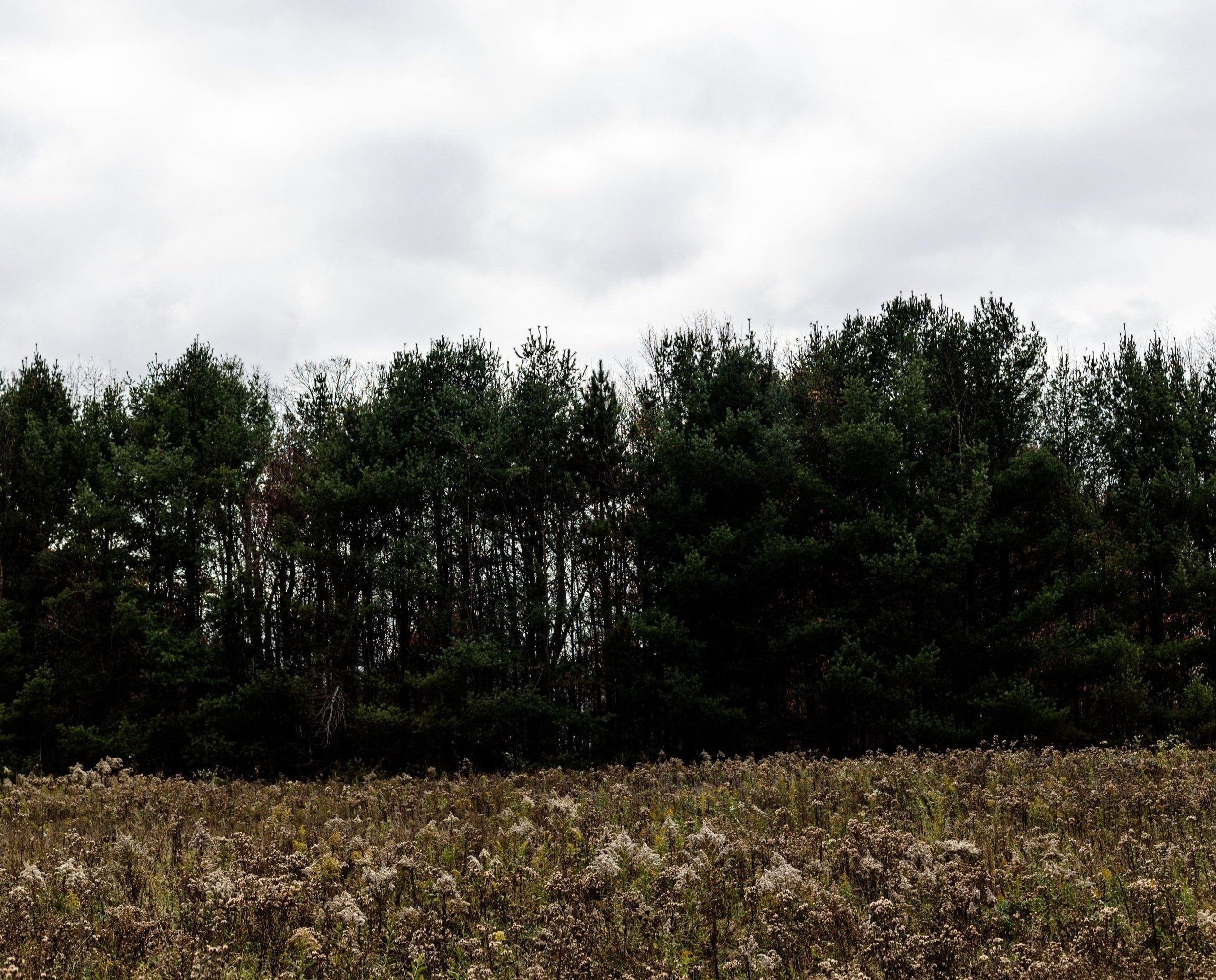 Glamping Domes — Marmora Retreat