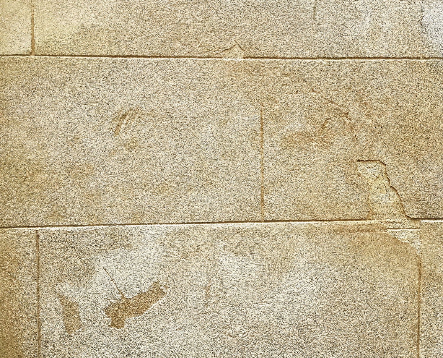 Our Team — Powder Magazine