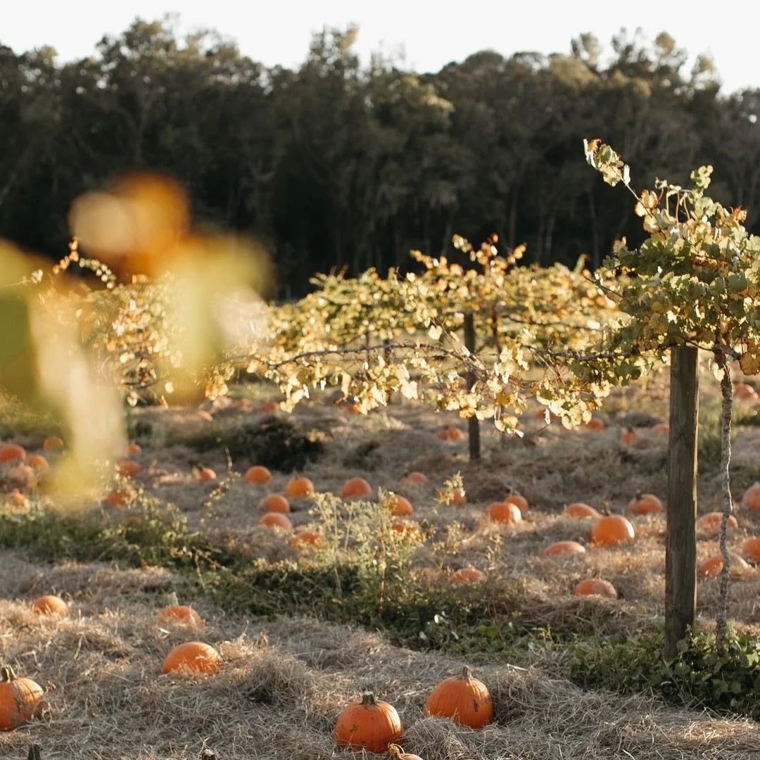 Menus — Congaree and Penn