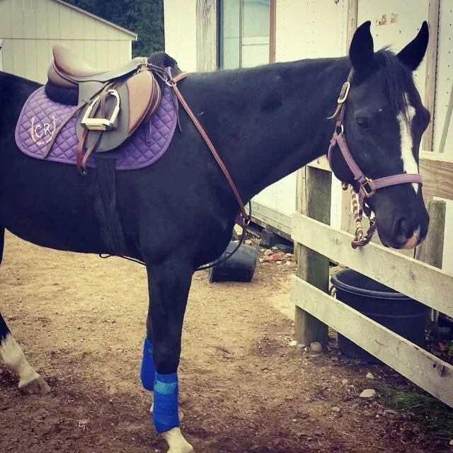 Staff — Remedy Counseling, LLC