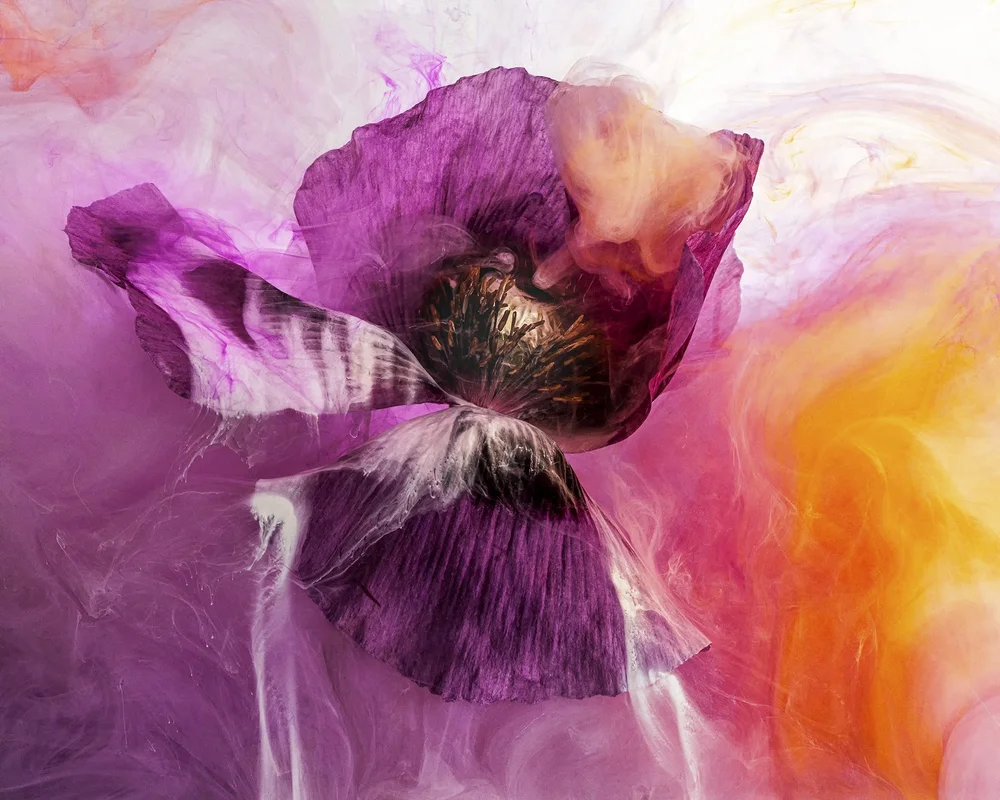 Colorscapes Photography Exhibit — Photo Artfolio