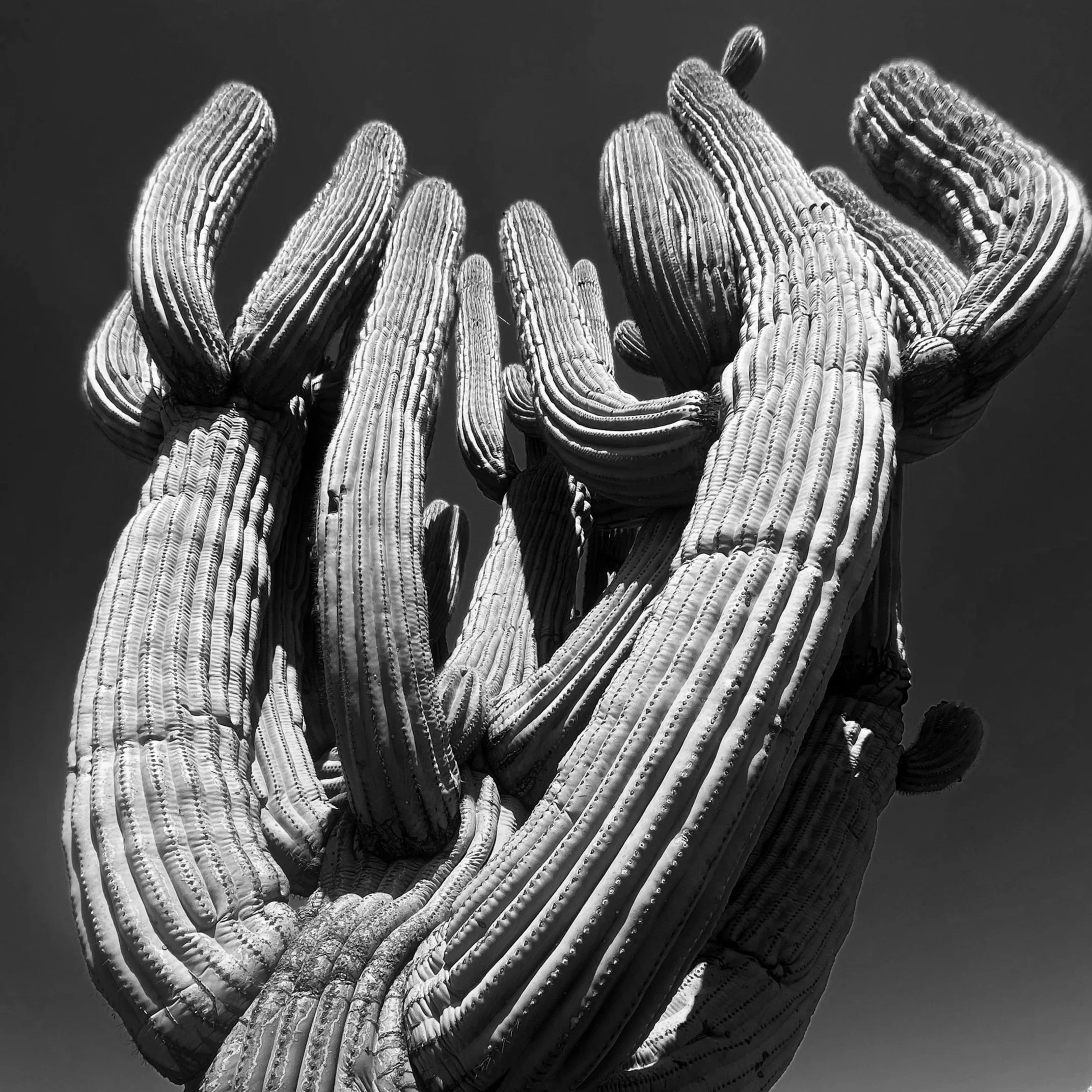 Gallery 3 — Lisa Cardenas Art