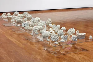 Artwork — Suzanne Anker