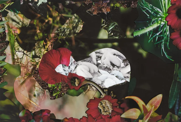 Artwork — Suzanne Anker