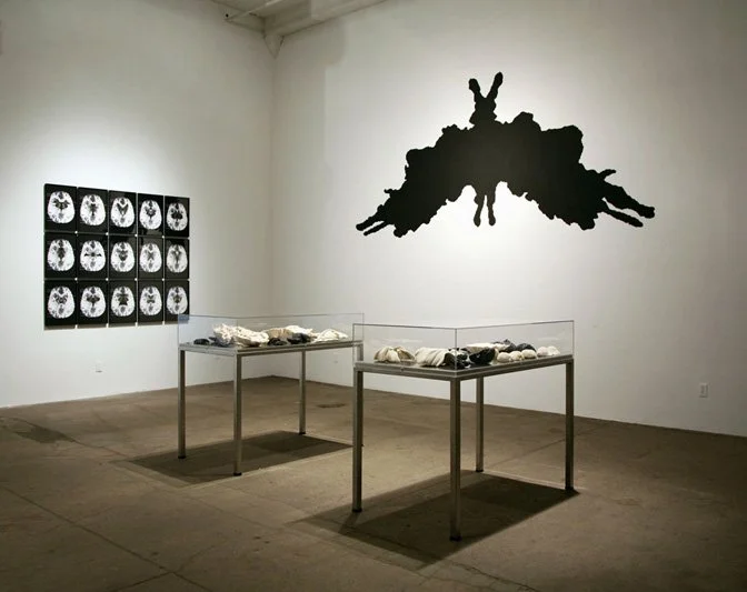 Butterfly in the Brain — Suzanne Anker