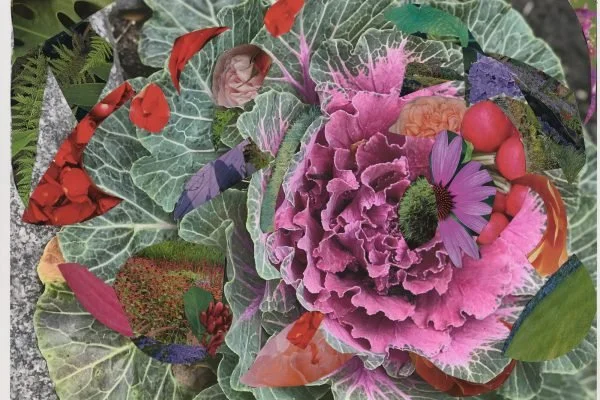 Rosetta — Suzanne Anker