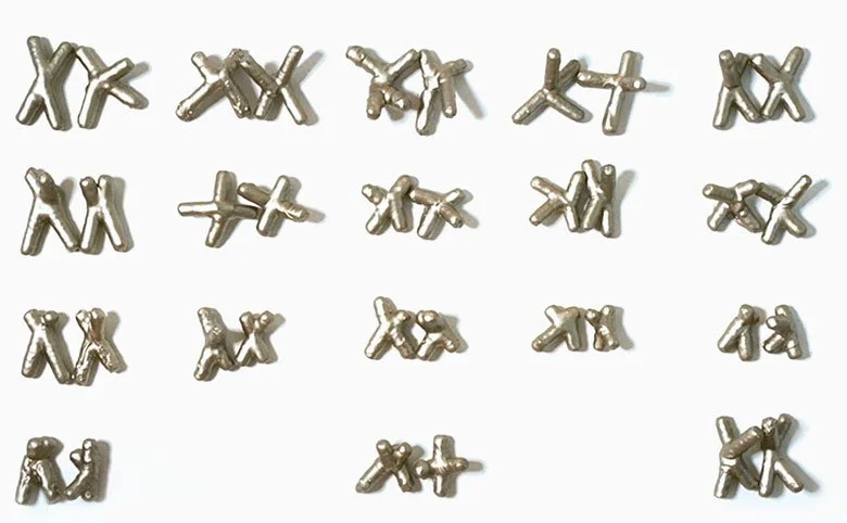 Zoosemiotics — Suzanne Anker