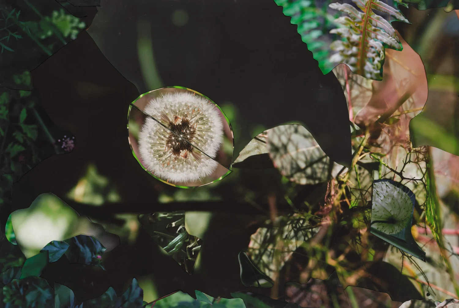 After Eden — Suzanne Anker