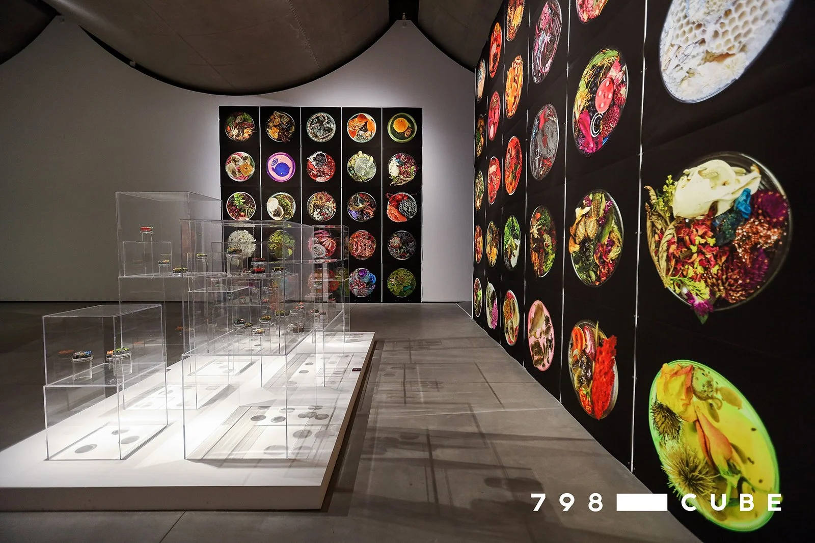 Beijing Art and Technology Biennale — Suzanne Anker