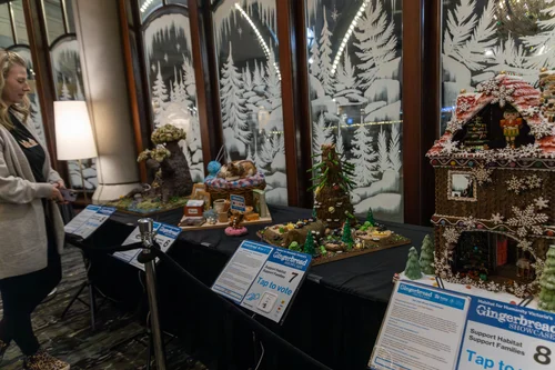 Habitat Victoria Gingerbread Showcase — Habitat for Humanity Victoria
