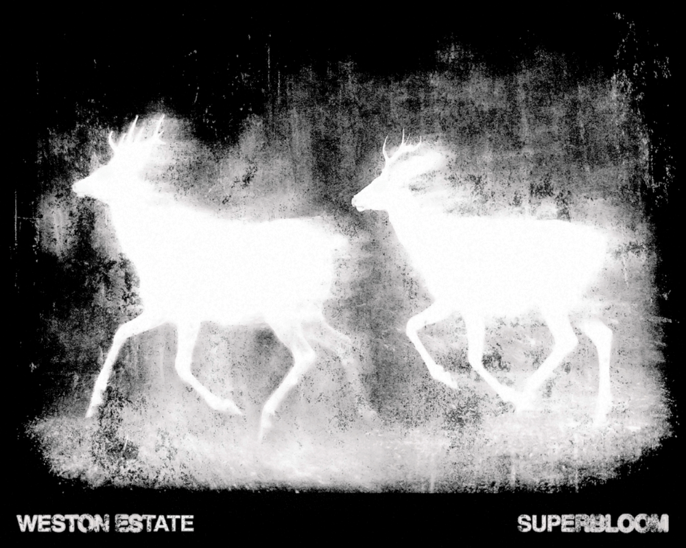 Tour — Weston Estate