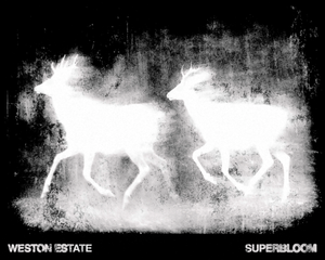 Tour — Weston Estate