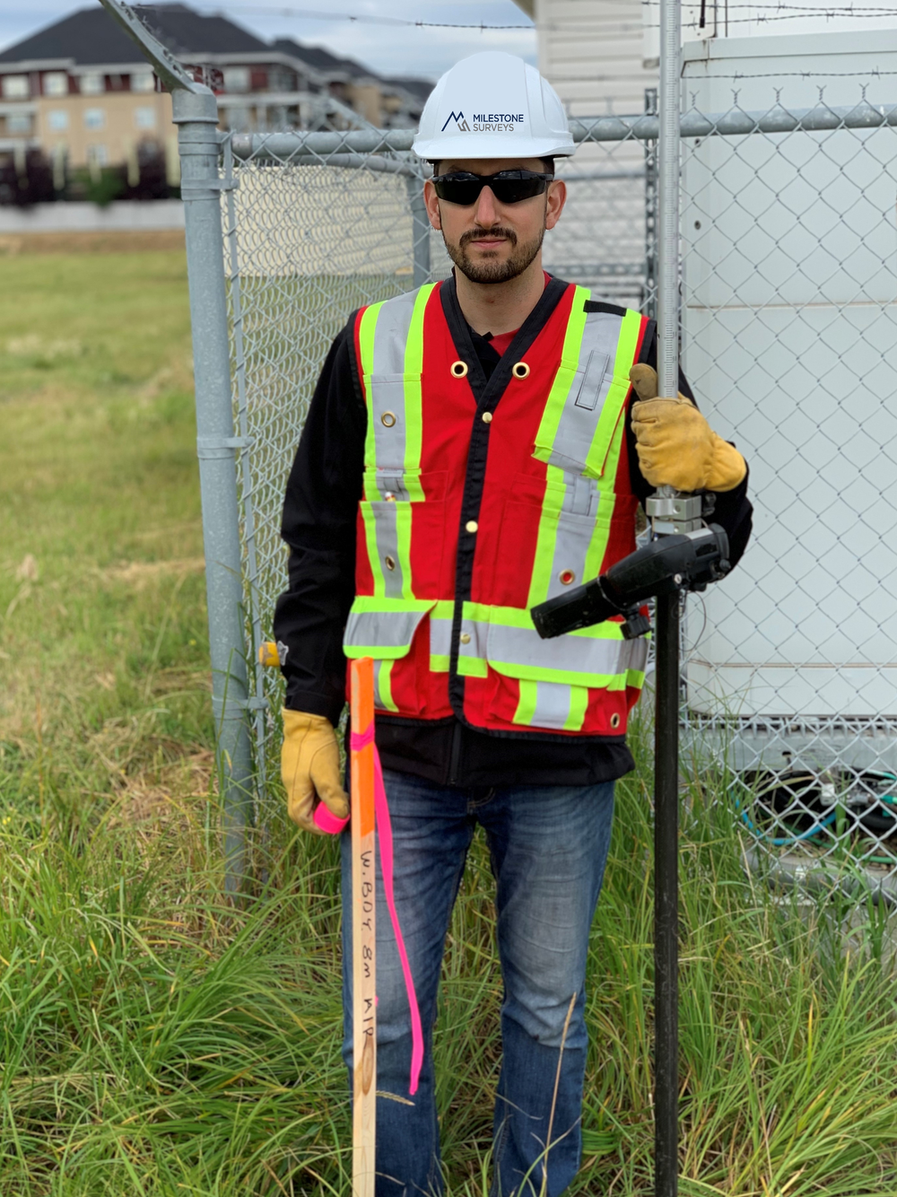 About — Milestone Surveys