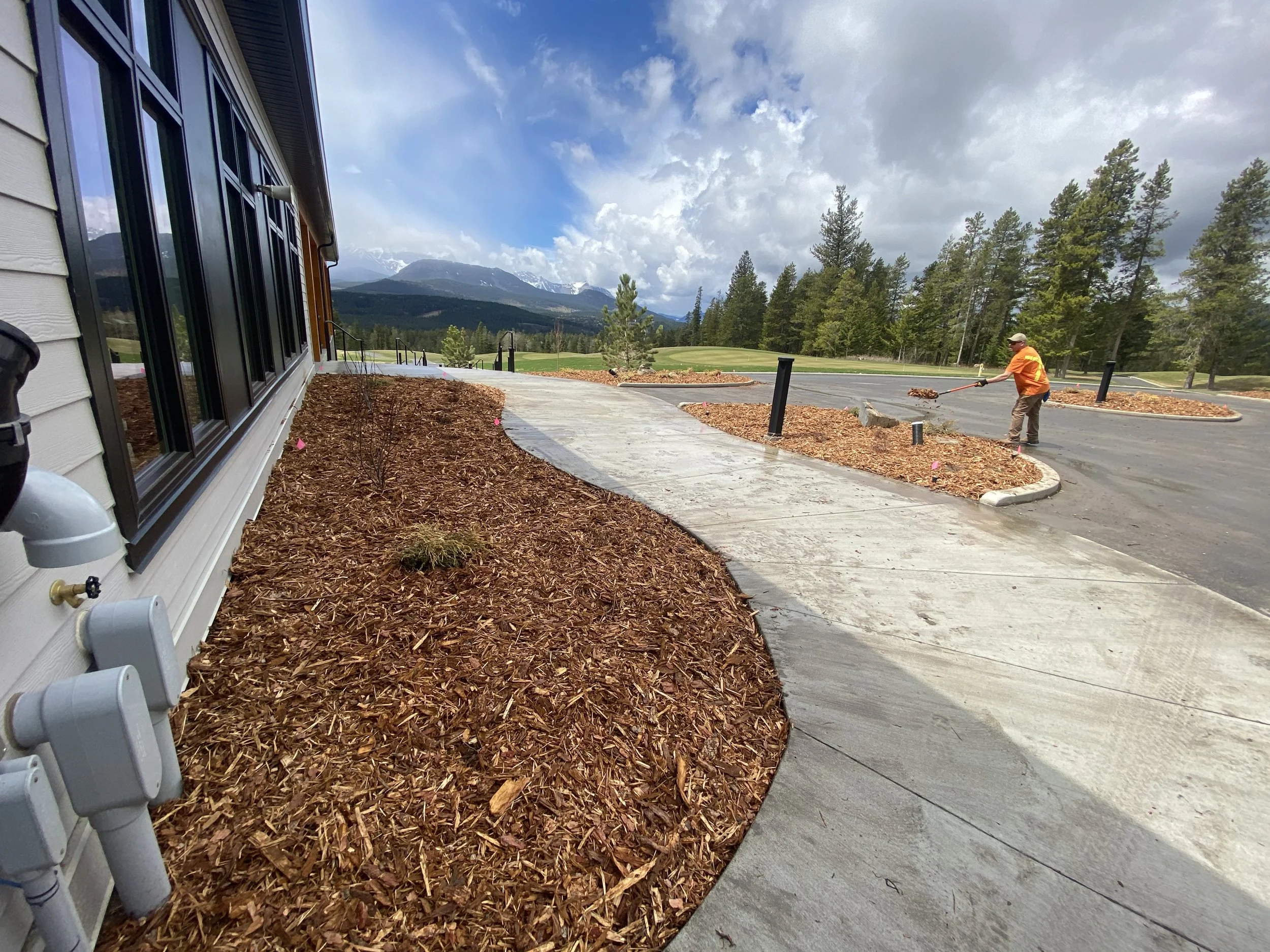 Vitae Environmental Construction