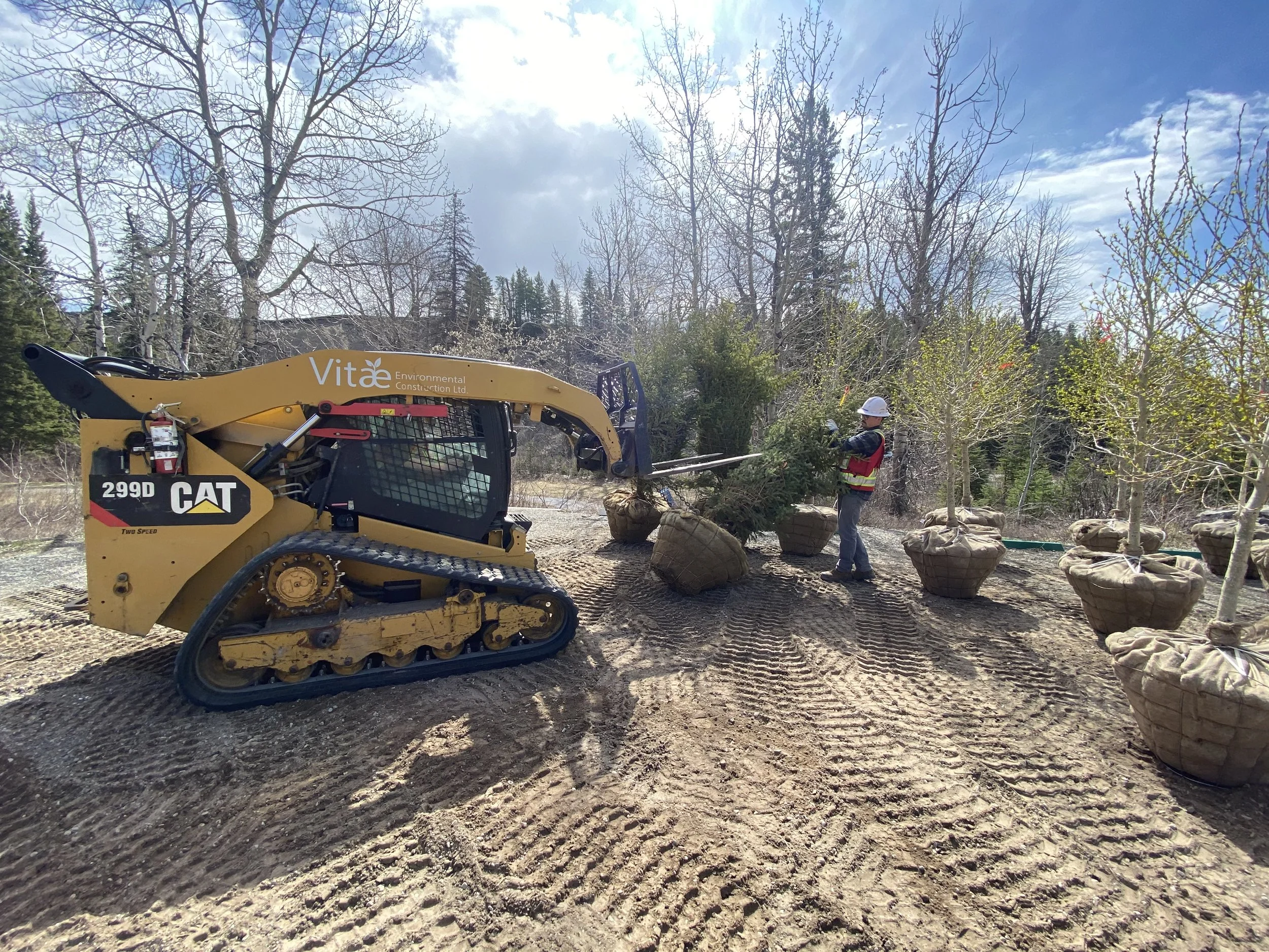 Vitae Environmental Construction