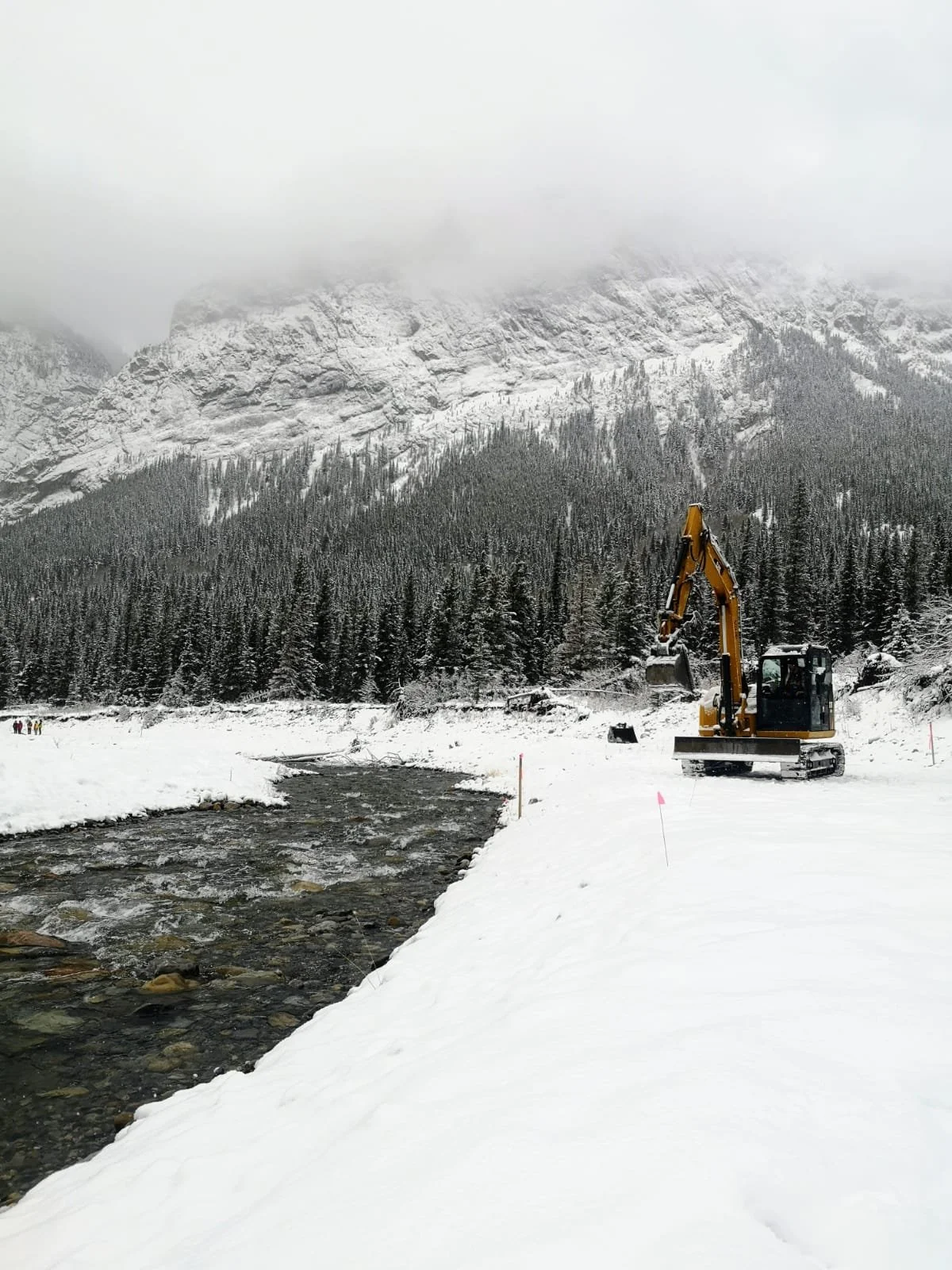 Vitae Environmental Construction