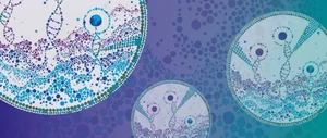 CCRM Australia | Centre for Commercialisation of Regenerative Medicine