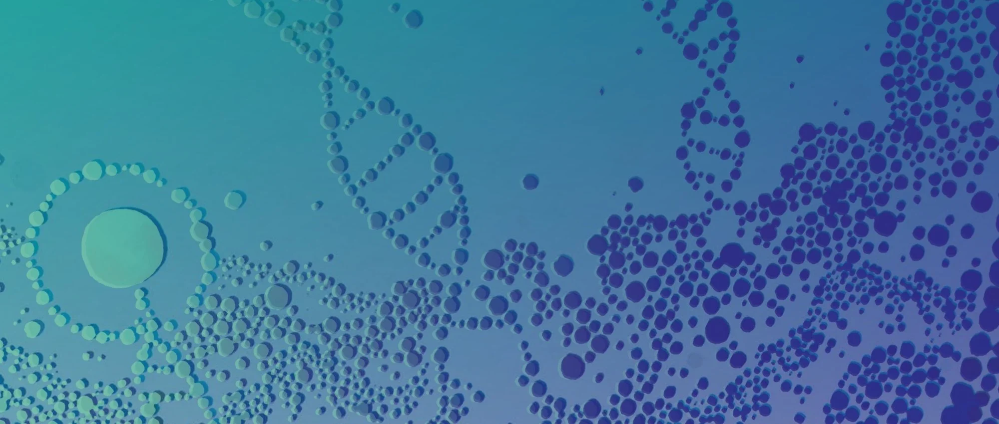 Board Of Directors — CCRM Australia