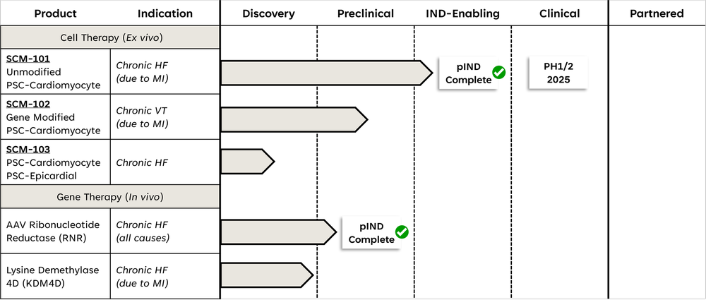 Pipeline — StemCardia