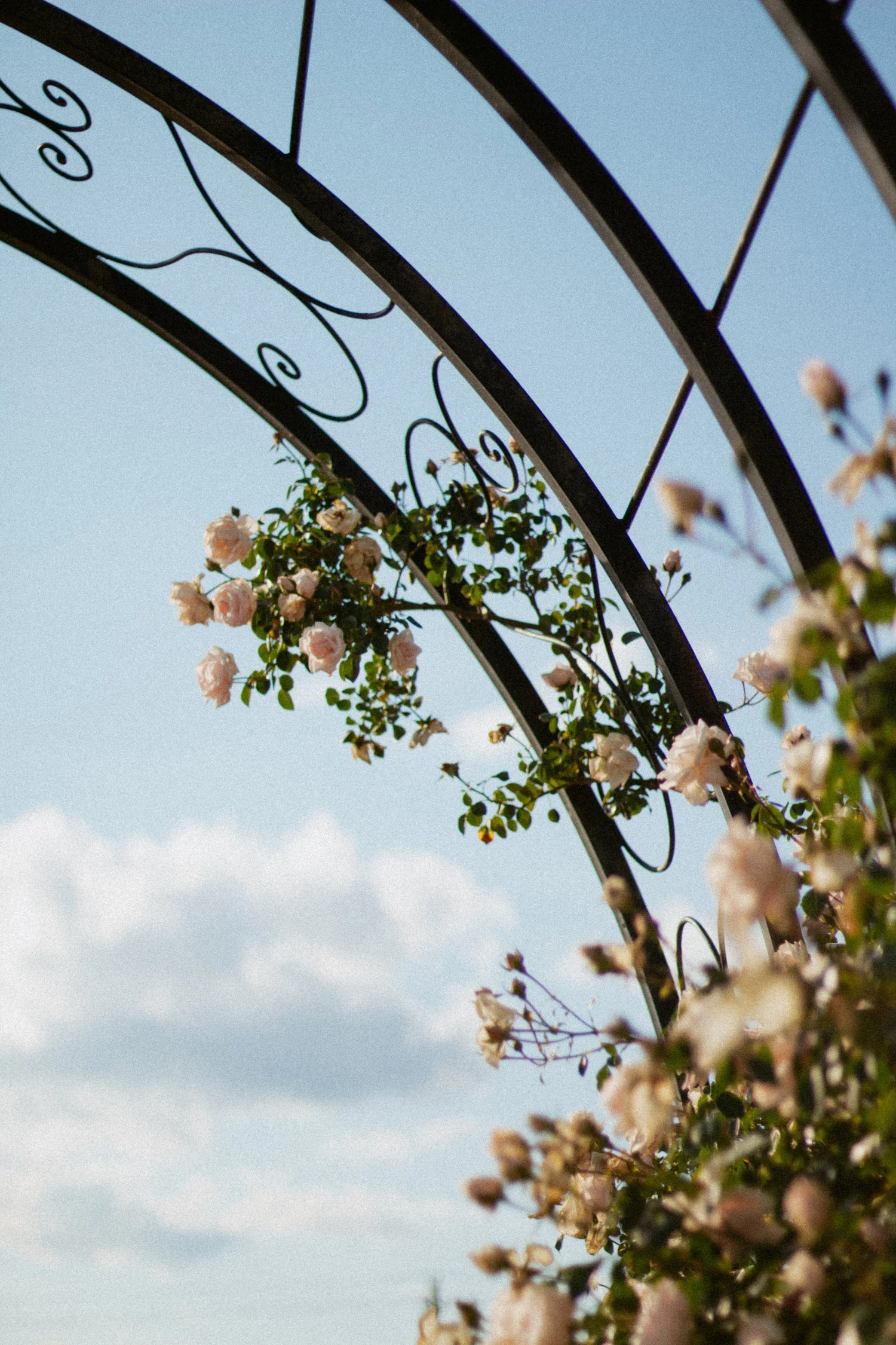Raleigh- North Carolina , Authentic, Documentary Photography Near You ...