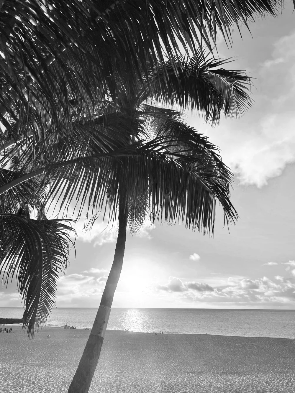 BUNGALOW ON ROSE - Coastal Thai Cuisine, Danville CA