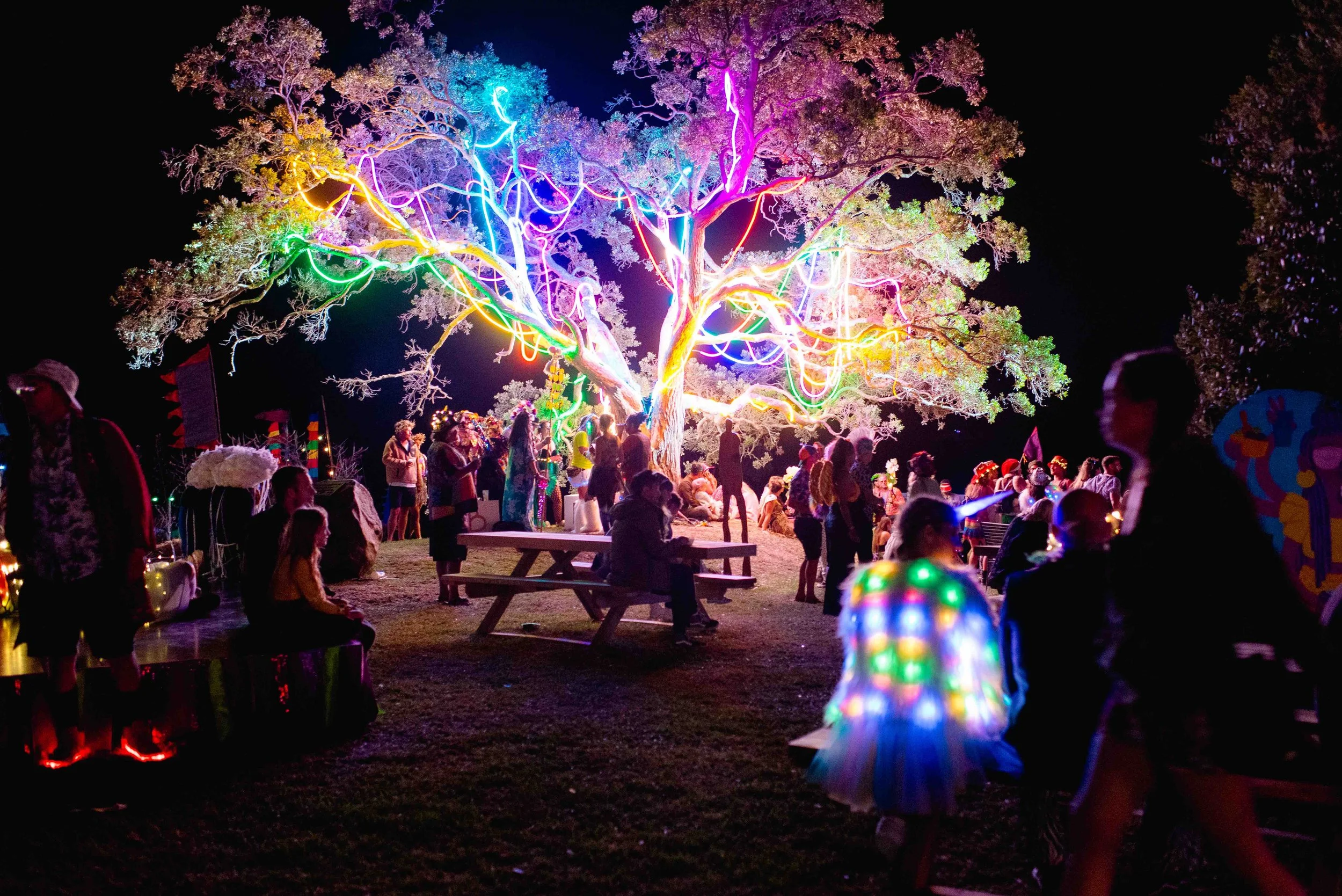 Accessibility — Splore Festival