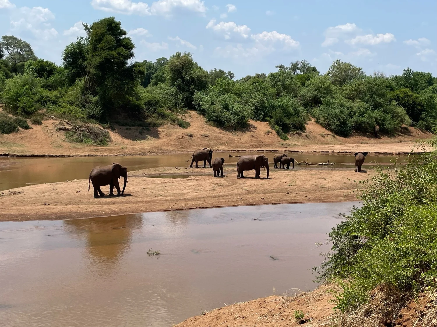 Activities — Limpopo Safaris