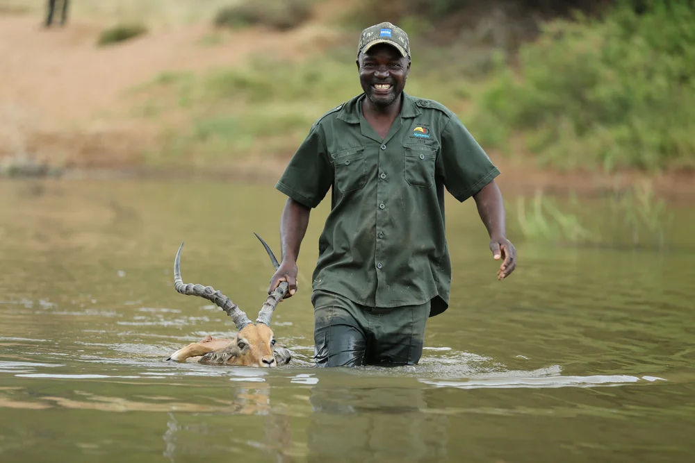 Limpopo Safaris — 45.000Ha of Supreme Safari and Hunting