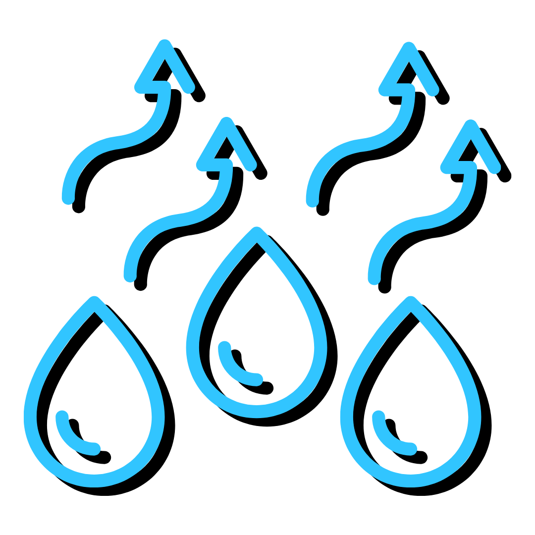 LyoBB Professional Breastmilk Freeze-Drying Services