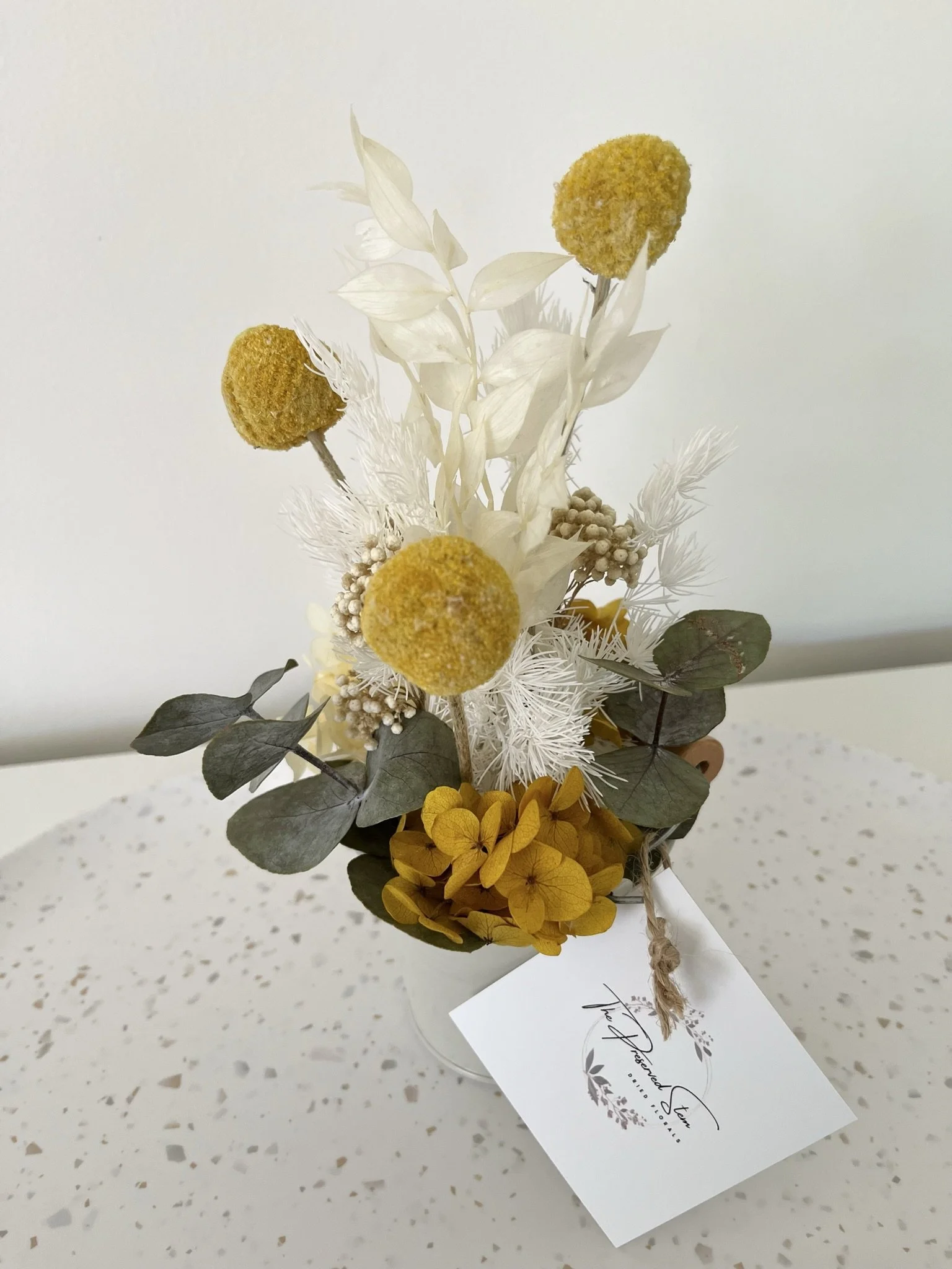 Shop — The Preserved Stem - Dried Flowers