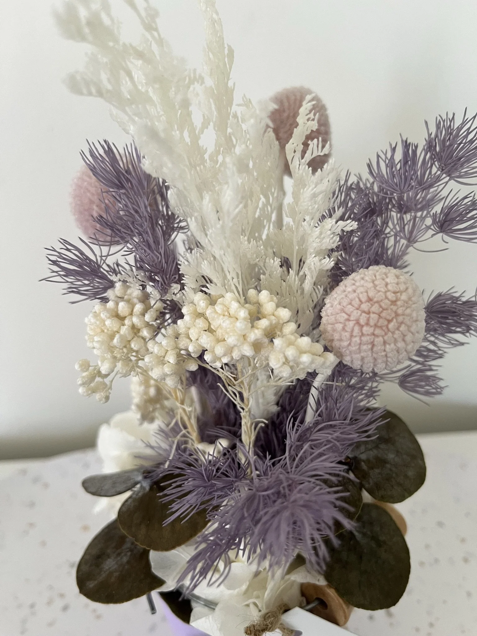 Shop — The Preserved Stem - Dried Flowers