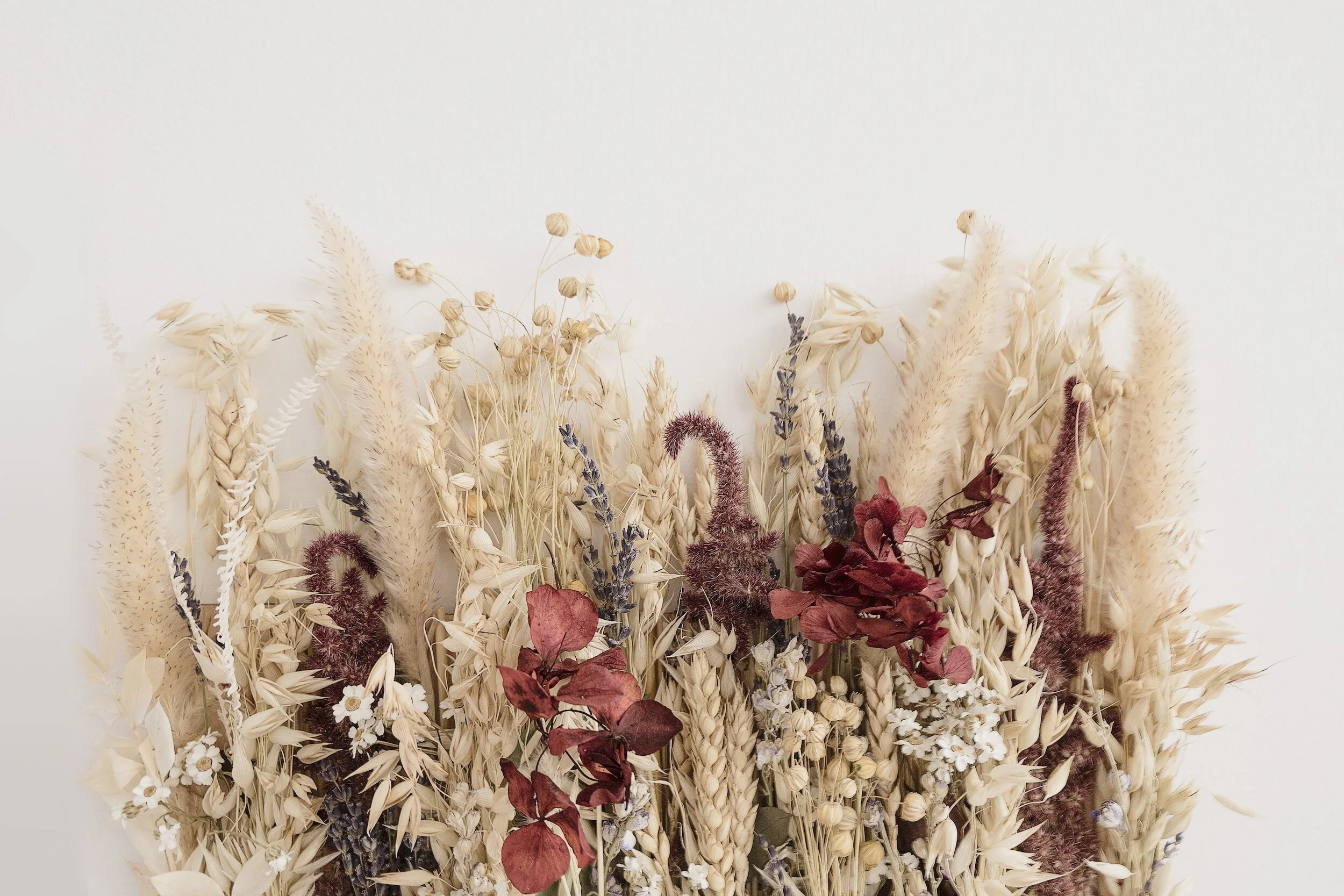 The Preserved Stem - Dried Flowers
