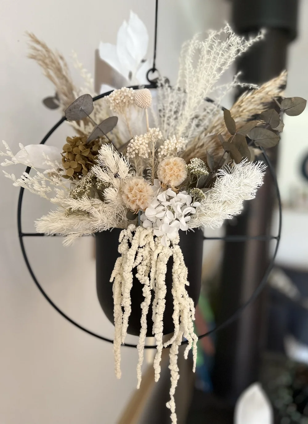 The Preserved Stem - Dried Flowers