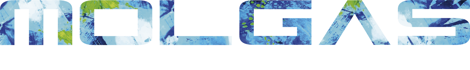 Gasnor bytter navn til Molgas Energy Group — Maritimt Forum