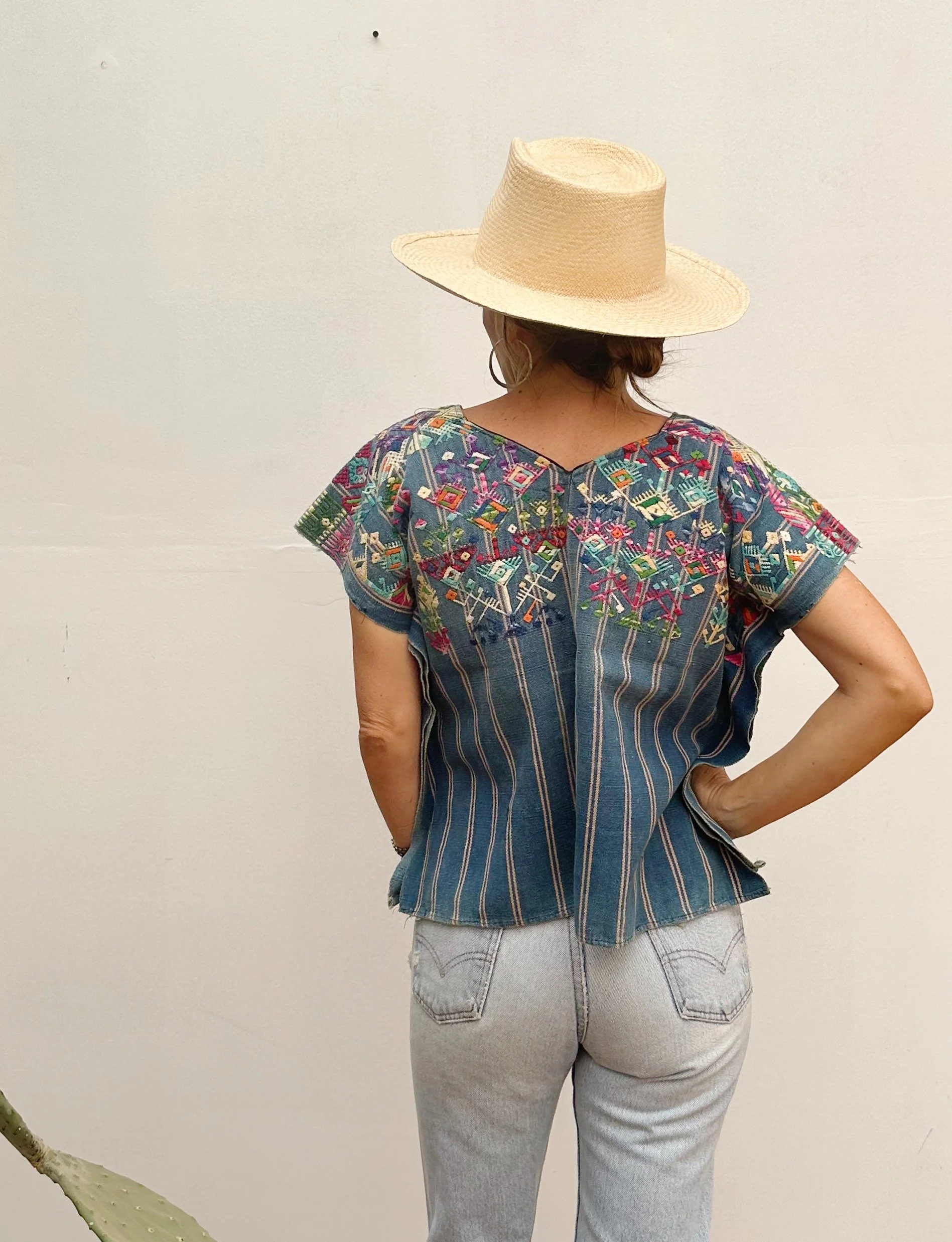 Shop — Luna Zorro