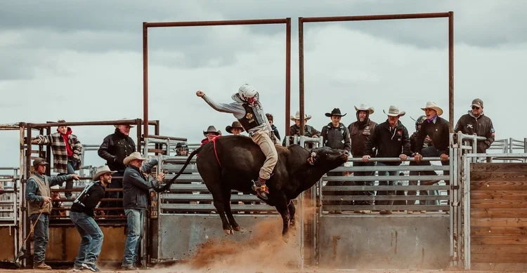 Frost Legacy | Bull Rider Development