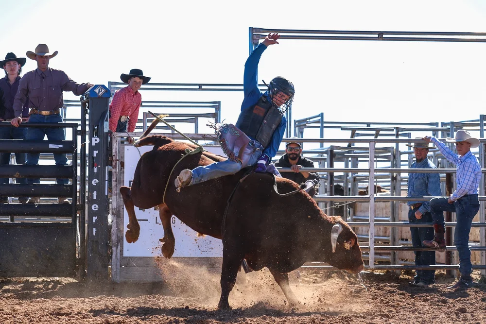 In-Person Bull Riding Training Camp | Learn to Ride Bulls with Expert ...