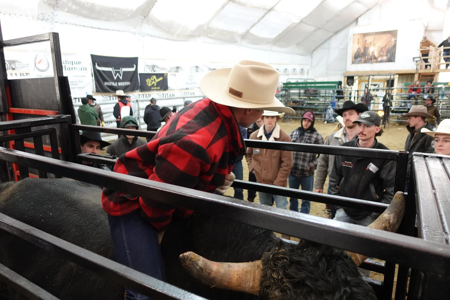 Host a Frost Legacy Bull Riding School – Elite Coaching at Your ...