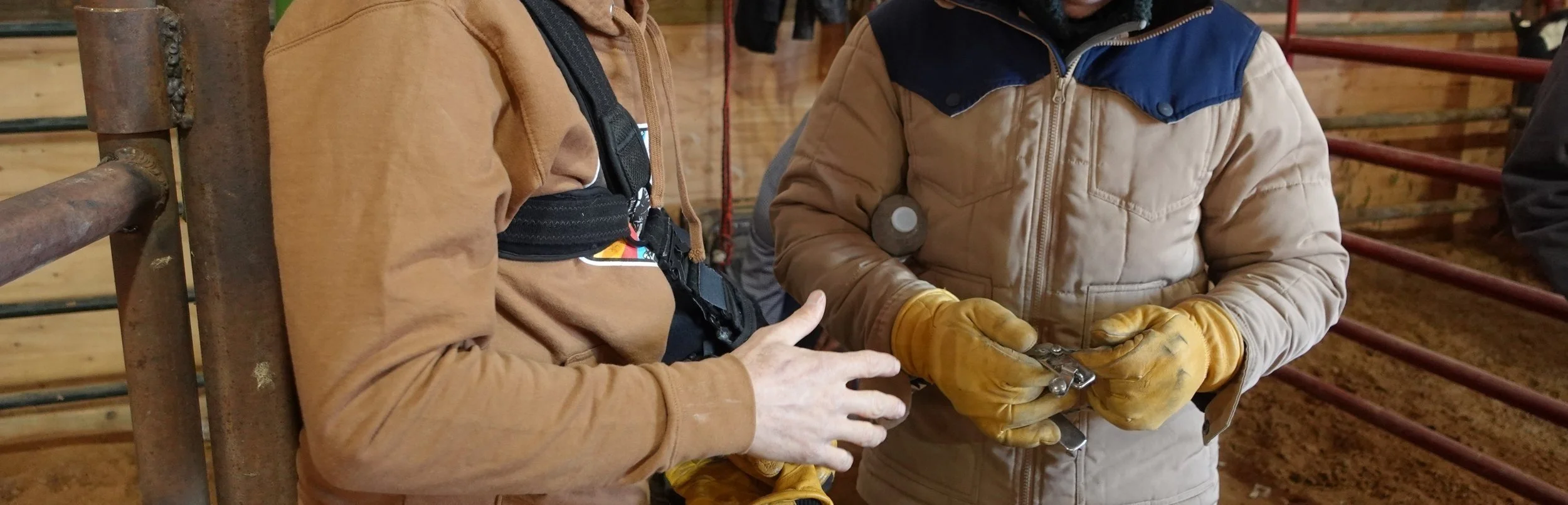 Frost Legacy Bull Riding Equipment – Gear Up for Success — Joe Frost