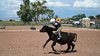 Frost Legacy | Bull Rider Development